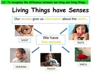 Science L2 Living and Non living Things.ppt