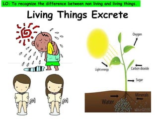 Science L2 Living and Non living Things.ppt
