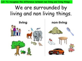 Science L2 Living and Non living Things.ppt