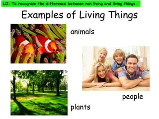 Science L2 Living and Non living Things.ppt