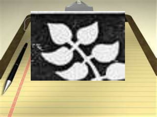 Science lab safety review game | PPT