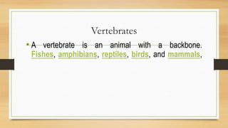 SCIENCE LESSON PLAN.pptx | Reptiles | Pets