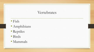 SCIENCE LESSON PLAN.pptx | Reptiles | Pets