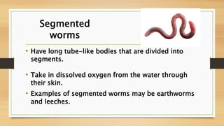 SCIENCE LESSON PLAN.pptx | Reptiles | Pets