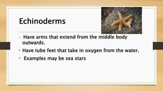 SCIENCE LESSON PLAN.pptx