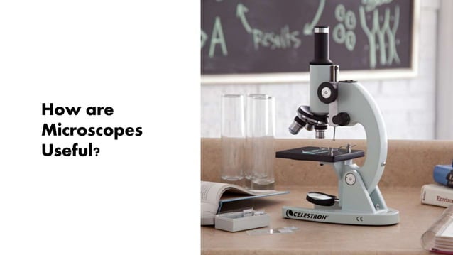 Science links 7 quarter 2 - lesson1 | PPTX | Photography | Arts and Crafts