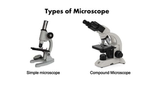 Science links 7 quarter 2 - lesson1 | PPTX