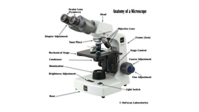Science links 7 quarter 2 - lesson1 | PPTX | Photography | Arts and Crafts
