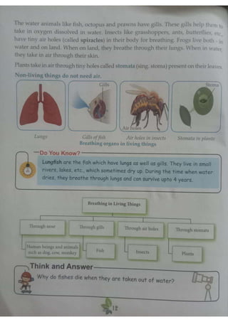 Science living nonliving book ex .pdf