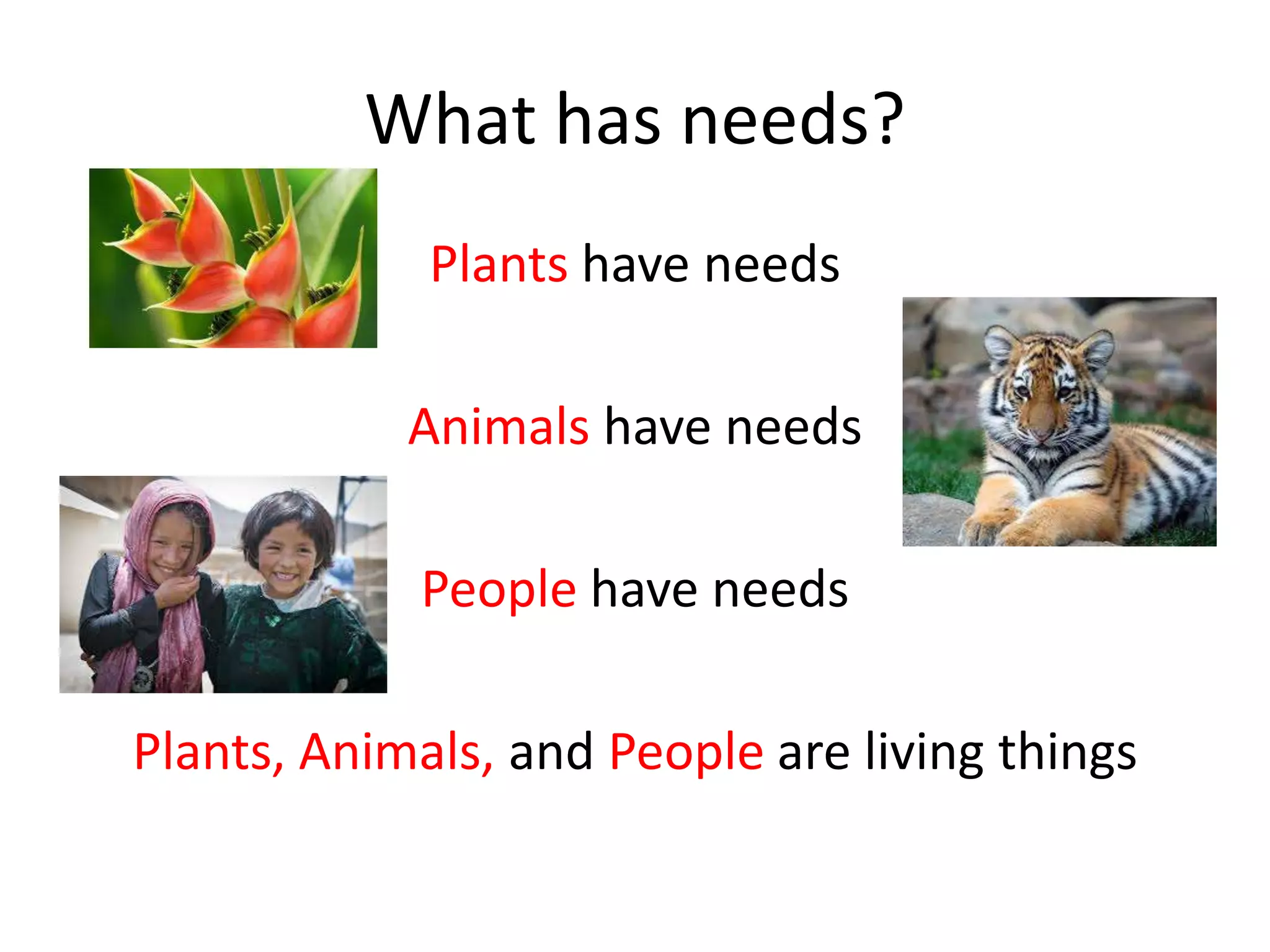 livingthings needs | PPTX | Food & Drink