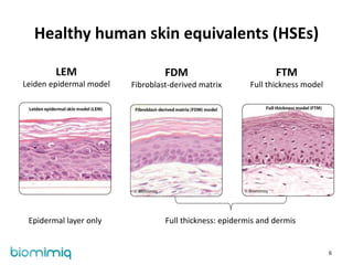SmB café 11 Dec 14 - Biomimiq | PPT