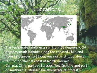 Science temperate rainforest | PPTX