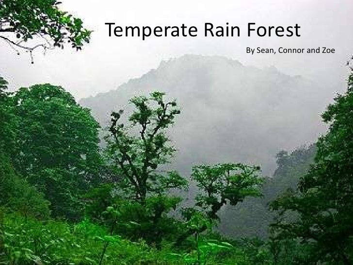 Science temperate rainforest