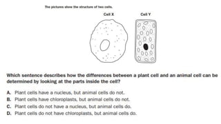 Science milestones review | PPT