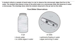 Science milestones review | PPT | Free Download