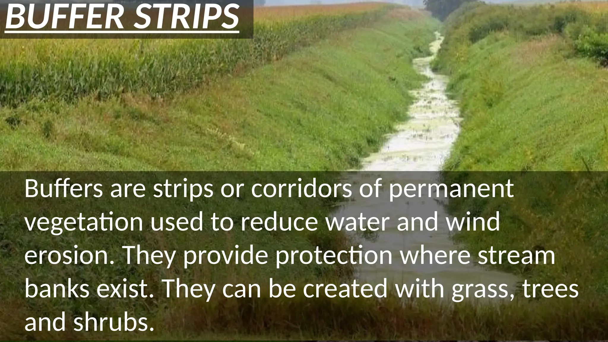 Earth and science grade 11 for stem module 11 | PPTX