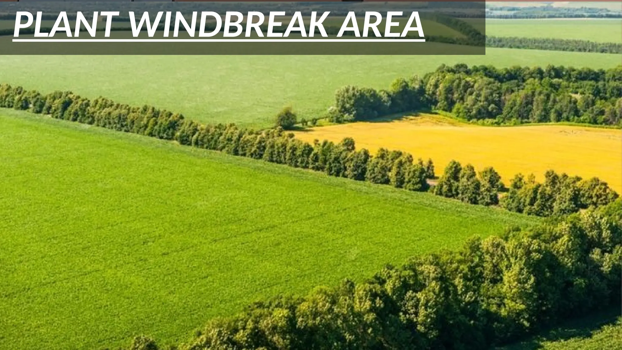 Earth and science grade 11 for stem module 11 | PPTX | Agriculture ...