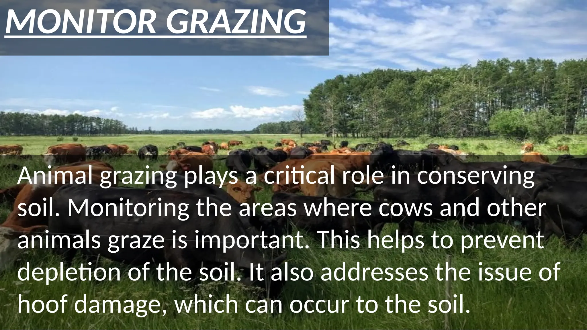 Earth and science grade 11 for stem module 11 | PPTX