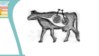 COT powerpoint presentation about Interrelationship among organisms | PPT