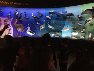 Science museum | PPTX