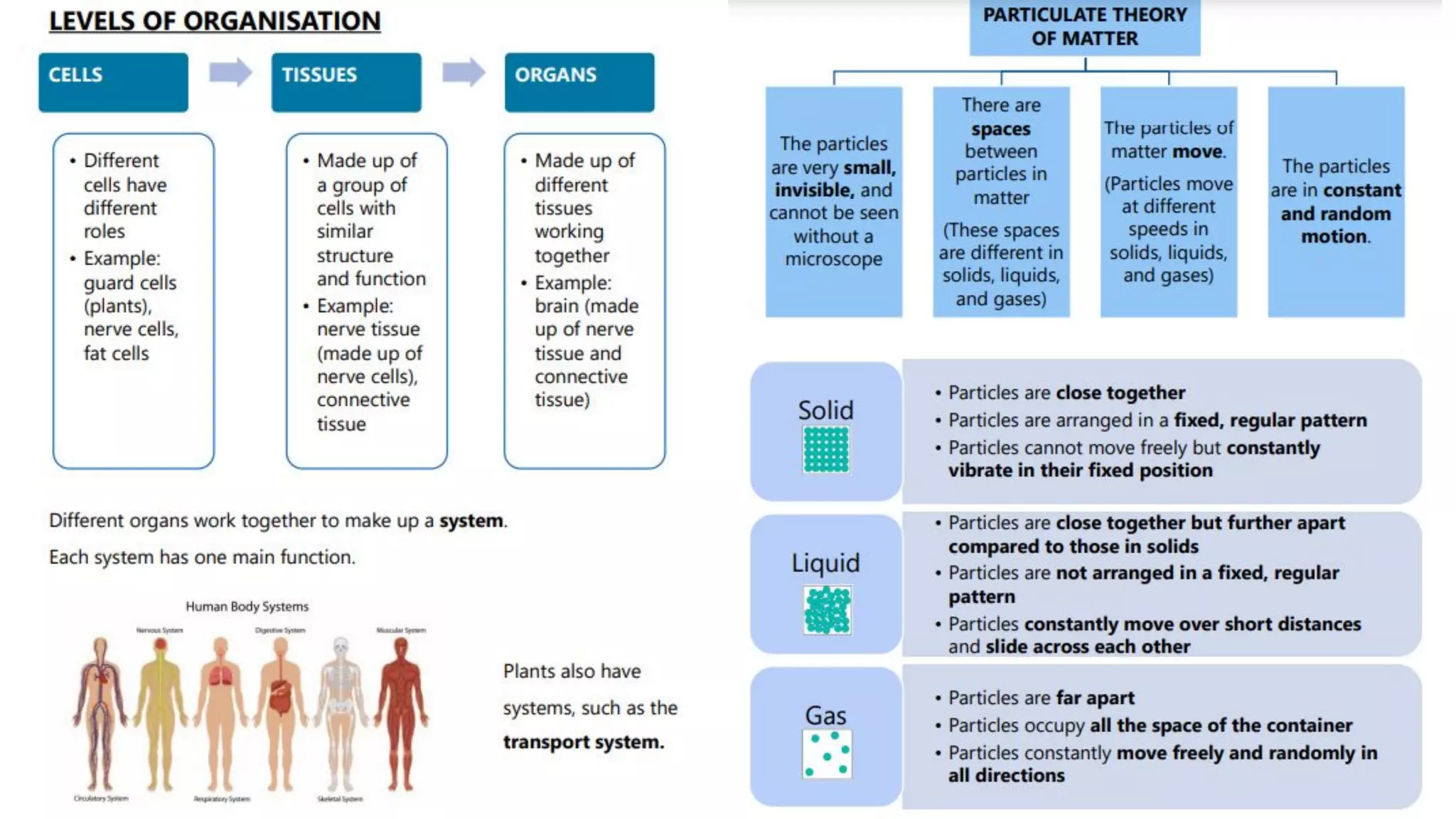 lower secondary science notes 2022 (free) | PDF