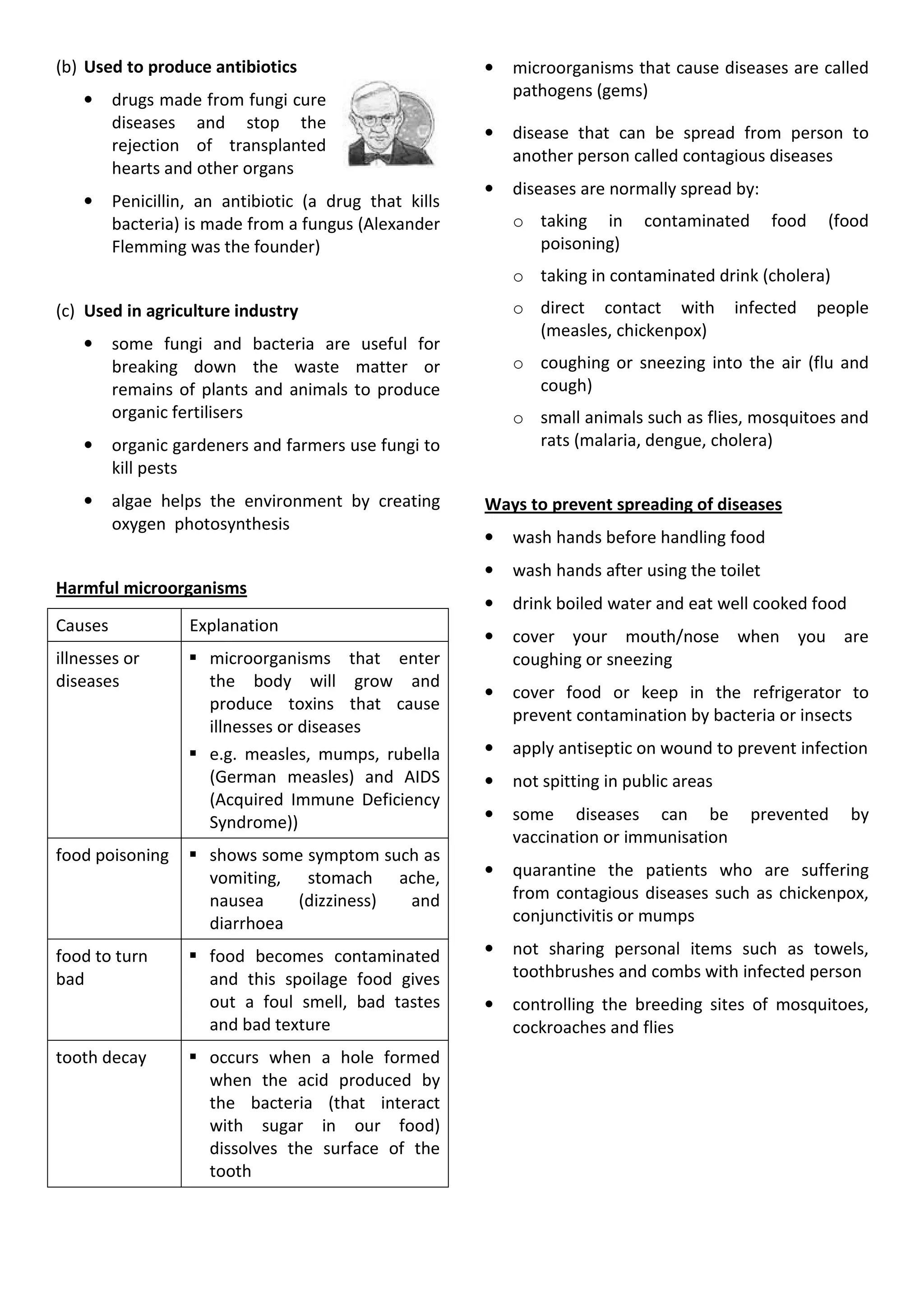 Science notes year 5 chap 1(a) microorganisms | PDF