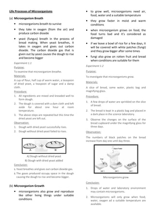Science notes year 5 chap 1(a) microorganisms | PDF