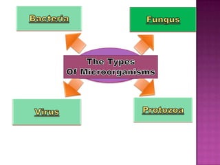Science notes year5 （unit 1) | PPTX
