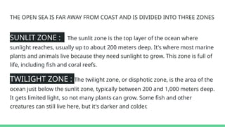 "Ocean Ecosystems: Life Beneath the Waves" | PPT