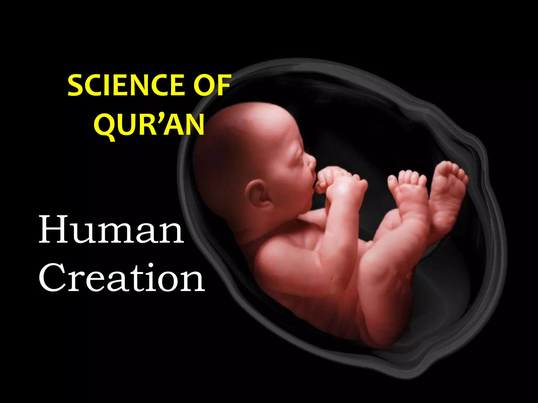 Science of al qur’an (HUMAN CREATION) | PPT