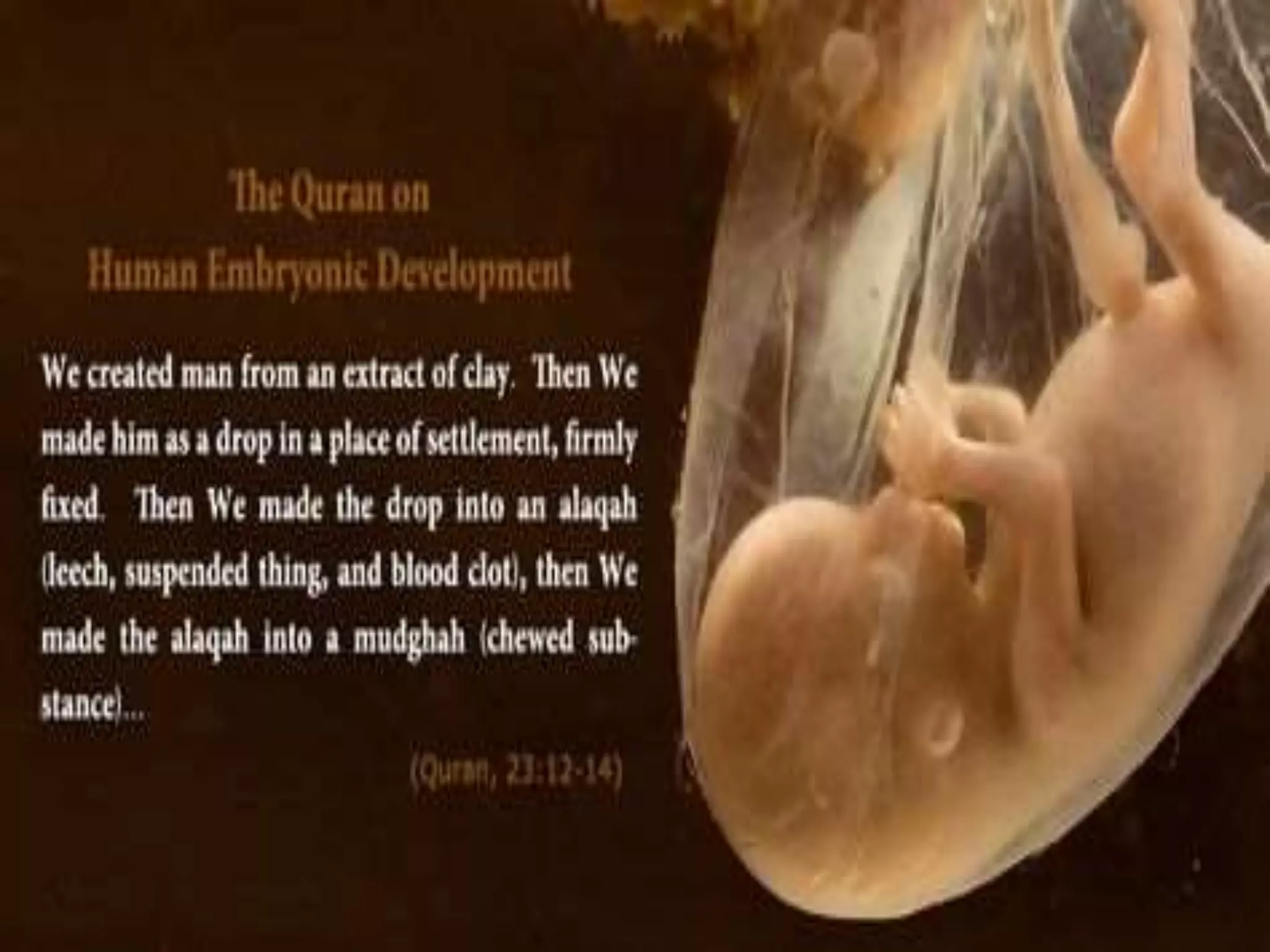 Science of al qur’an (HUMAN CREATION) | PPTX