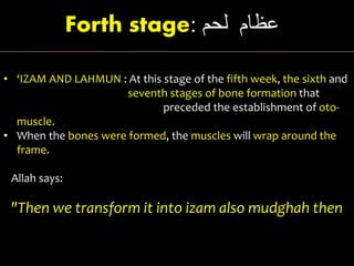 Science of al qur’an (HUMAN CREATION) | PPTX