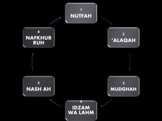 Science of al qur’an (HUMAN CREATION) | PPTX