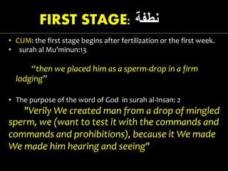 Science of al qur’an (HUMAN CREATION) | PPTX