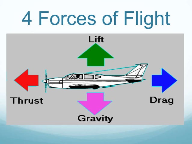 Science of flight | PPTX | Air Travel | Travel Type