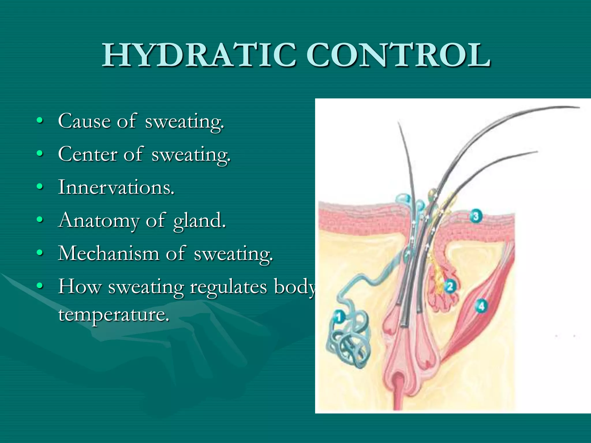 Science of hydrotherapy | PPT