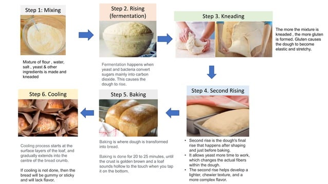 Science of making bread.pptx