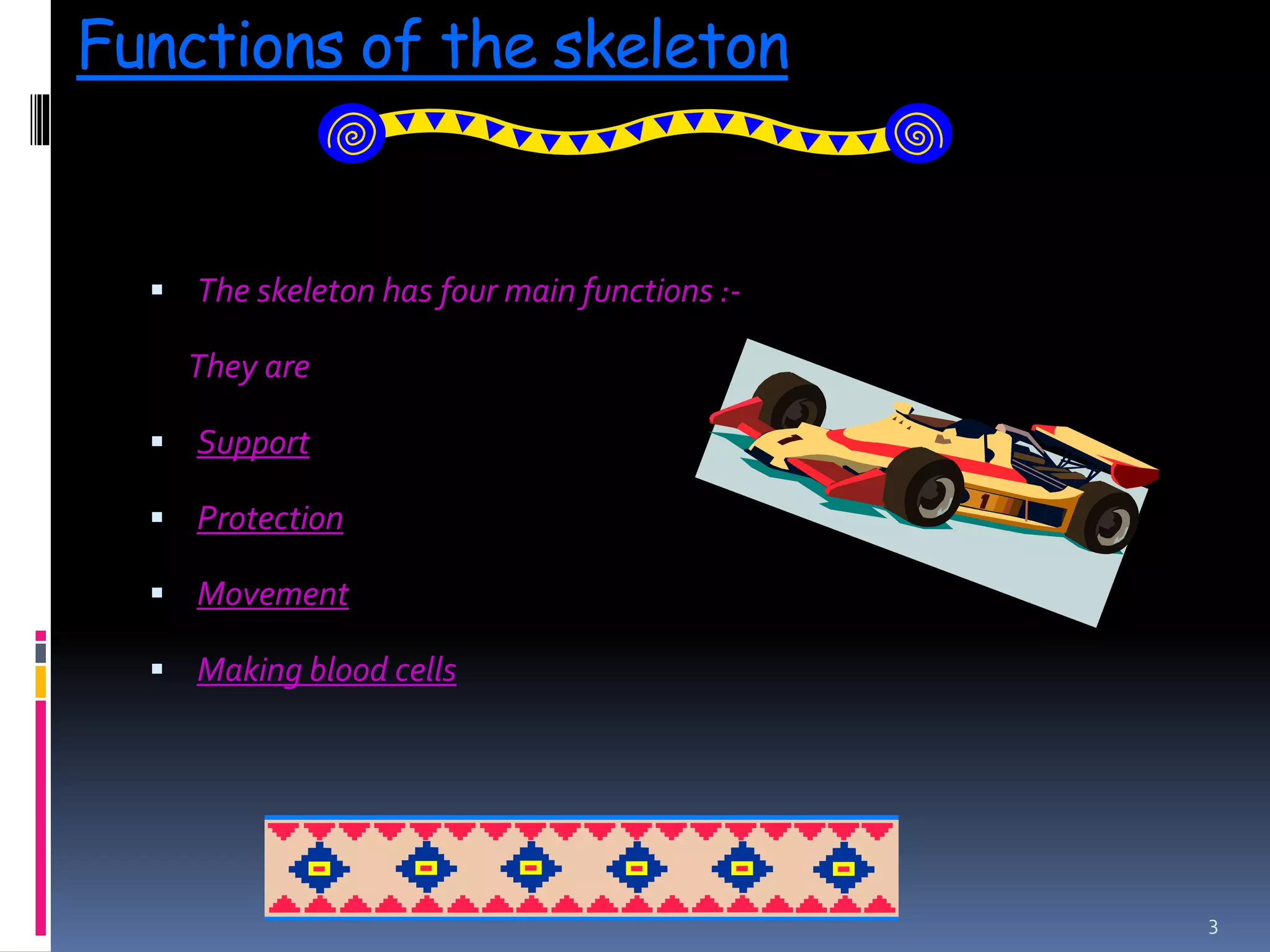 THE HUMAN SKELETON | PPTX