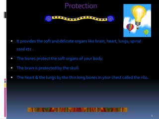THE HUMAN SKELETON | PPTX
