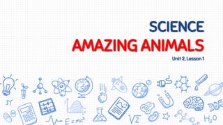 Amazing animals Science P2 Unit 2, Lesson 1.pptx