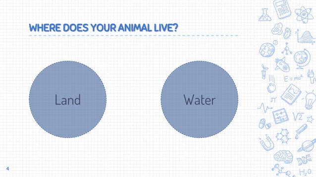 Amazing animals Science P2 Unit 2, Lesson 1.pptx
