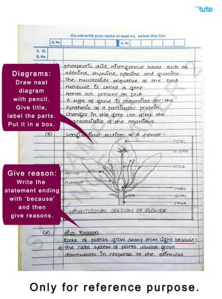 Science Paper Presentation Tips For Students | Exam Tips | LetsTute | PDF