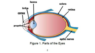 SCIENCE PARTS OF SENSE ORGANS IN GRADE THREE | PPTX