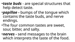 SCIENCE PARTS OF SENSE ORGANS IN GRADE THREE | PPTX