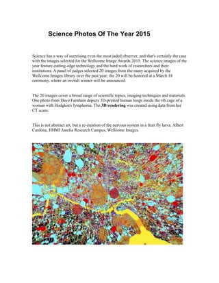 Science Photos Of The Year 2015 | PDF