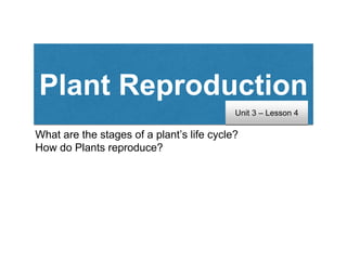 Plants | PPT