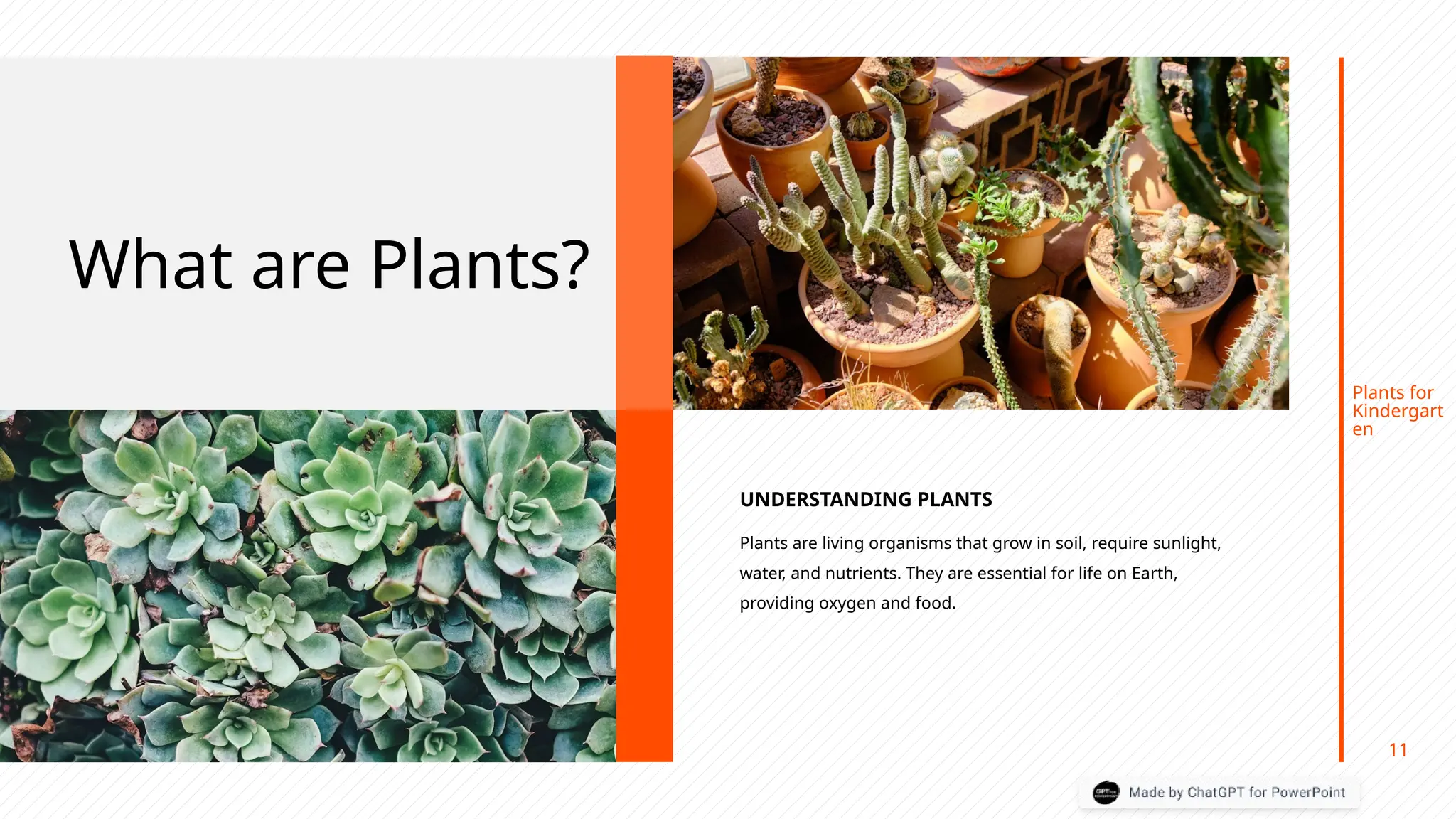 science topic plant year 1 for kids.pptx