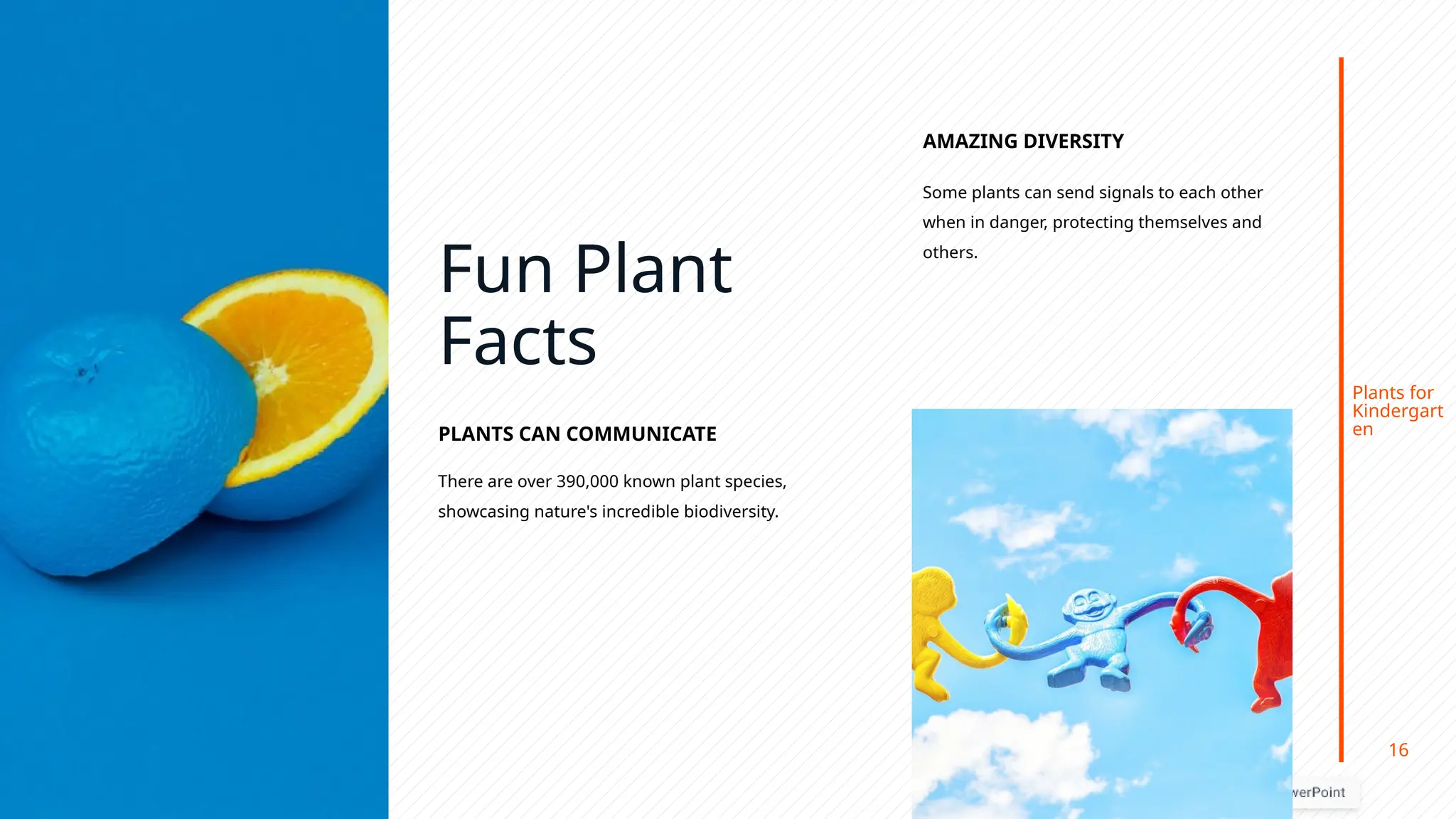 science topic plant year 1 for kids.pptx