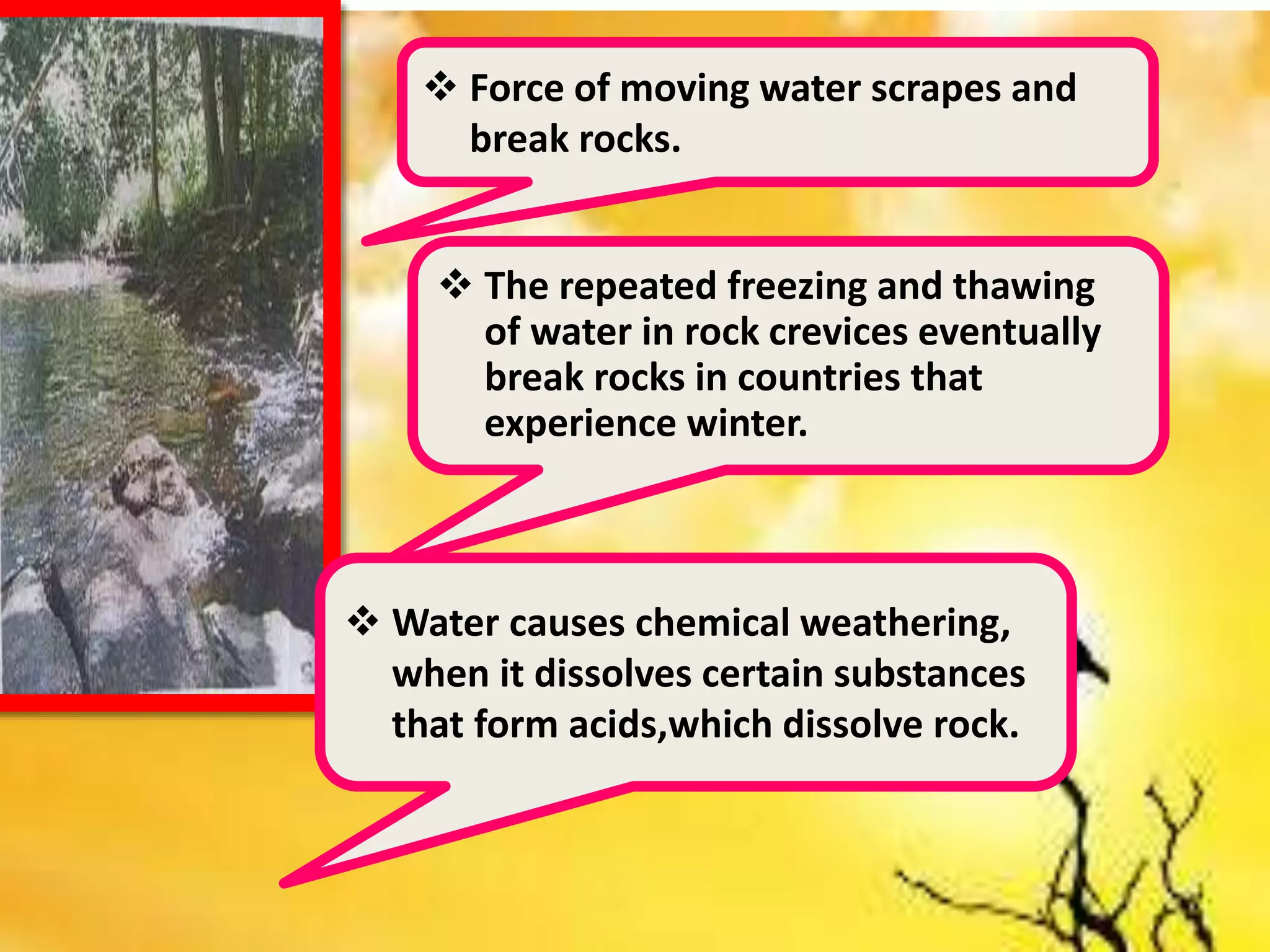 science powerpoint.pptx