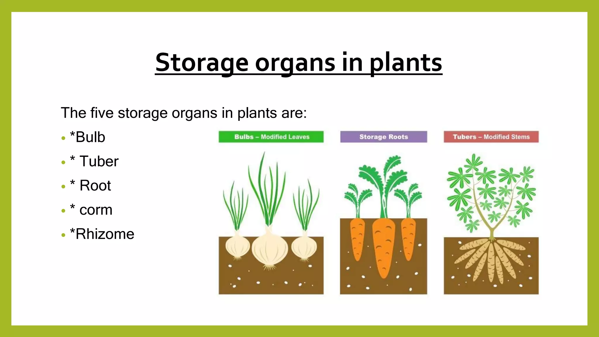 science powerpoint - Copy.pptx